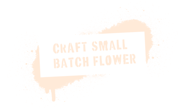 Small Craft Batch Flower | Pura Vida Cannabis